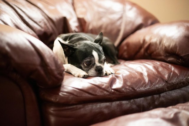 17723 Redwood Dr | Mike Meldrum | Mike Meldrum + Associates